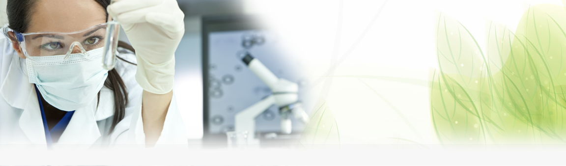 Stemtech Corporation